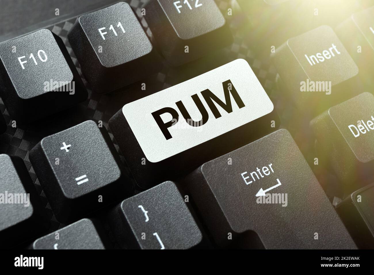 Text caption presenting Pum. Business approach unwanted change that can ...