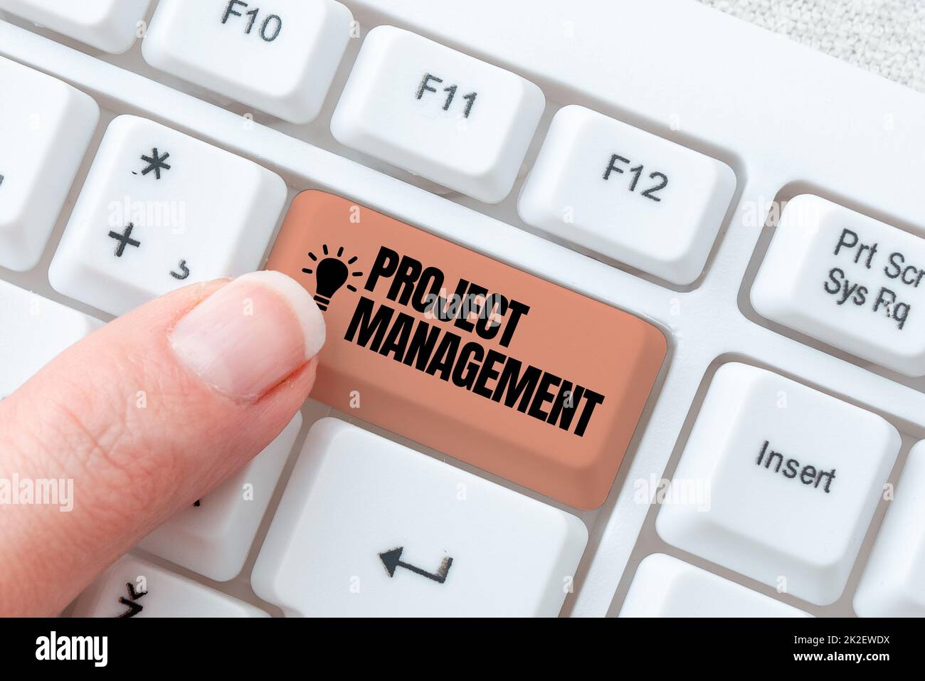 Text caption presenting Project Management. Business showcase ...