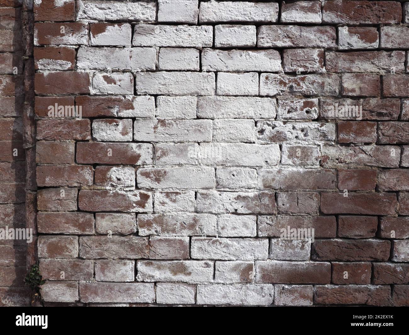 efflorescence on brick wall Stock Photo - Alamy