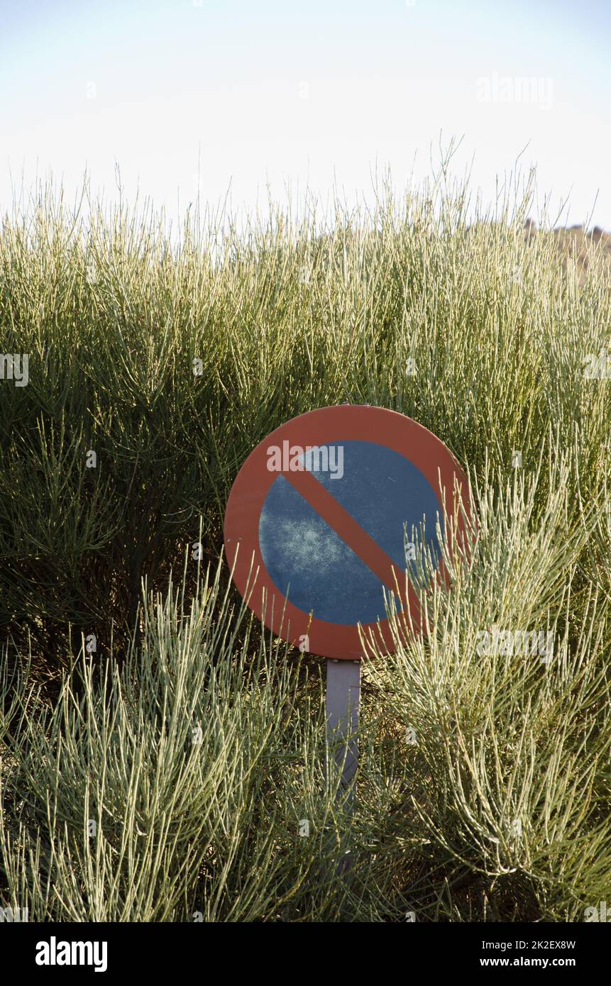 Prohibited parking sign between a broom Stock Photo - Alamy