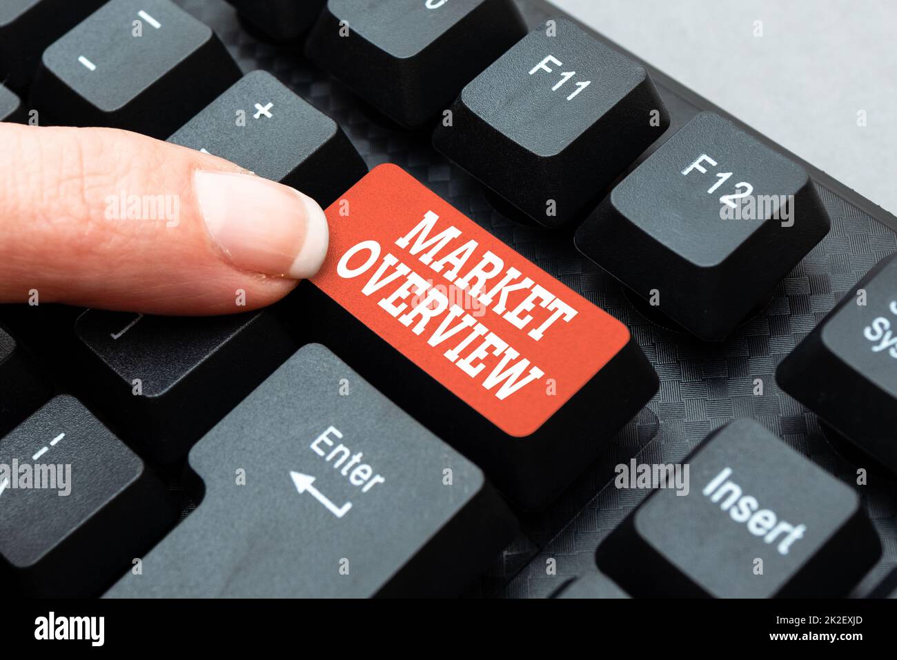 Writing displaying text Market Overview. Business showcase brief ... Writing displaying text Market Overview. Business showcase brief ...