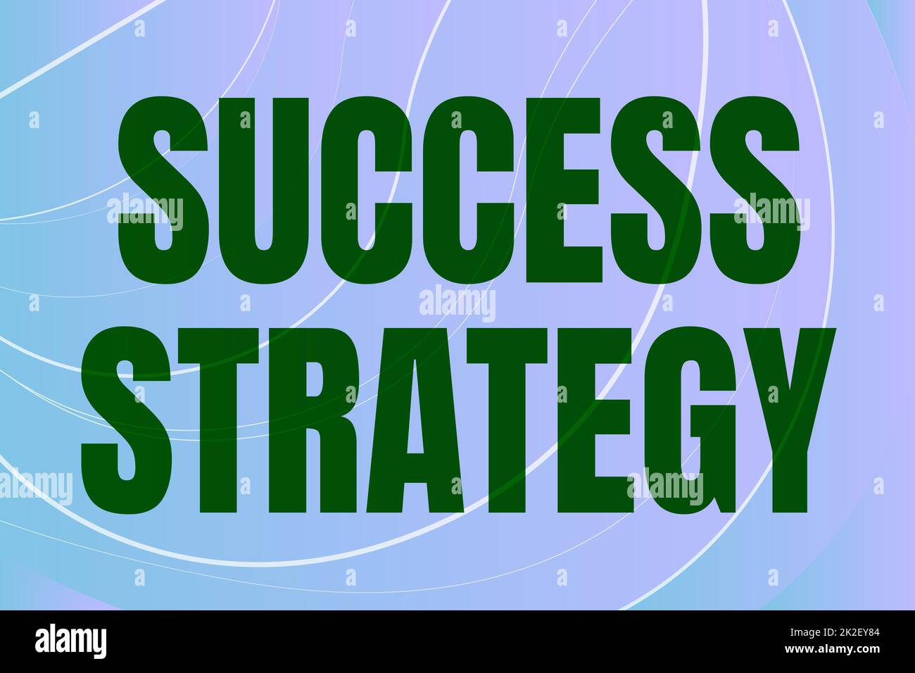 Text showing inspiration Success Strategy. Business overview provides ...