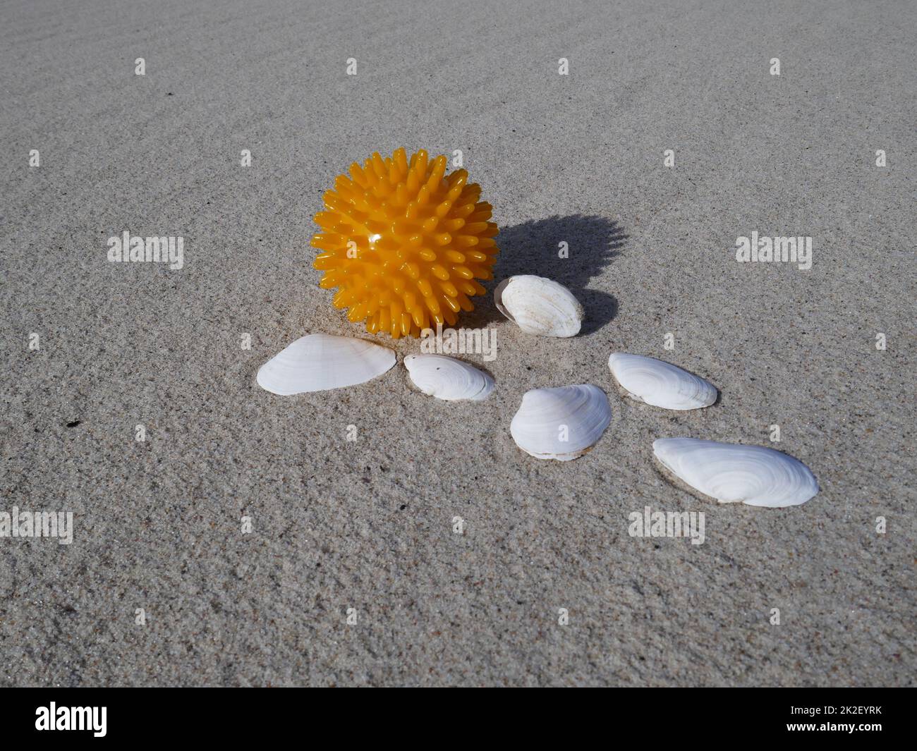 Massage ball and shells on the beach Stock Photo - Alamy