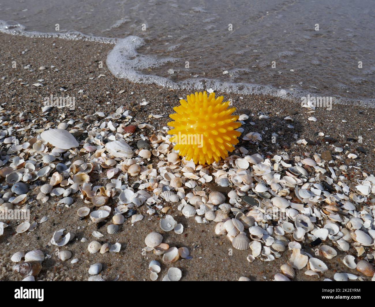 Massage ball and shells on the beach Stock Photo - Alamy