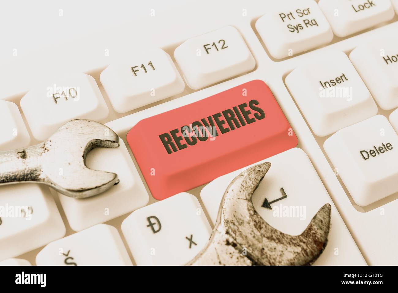 Text sign showing Recoveries. Concept meaning process of regaining ...