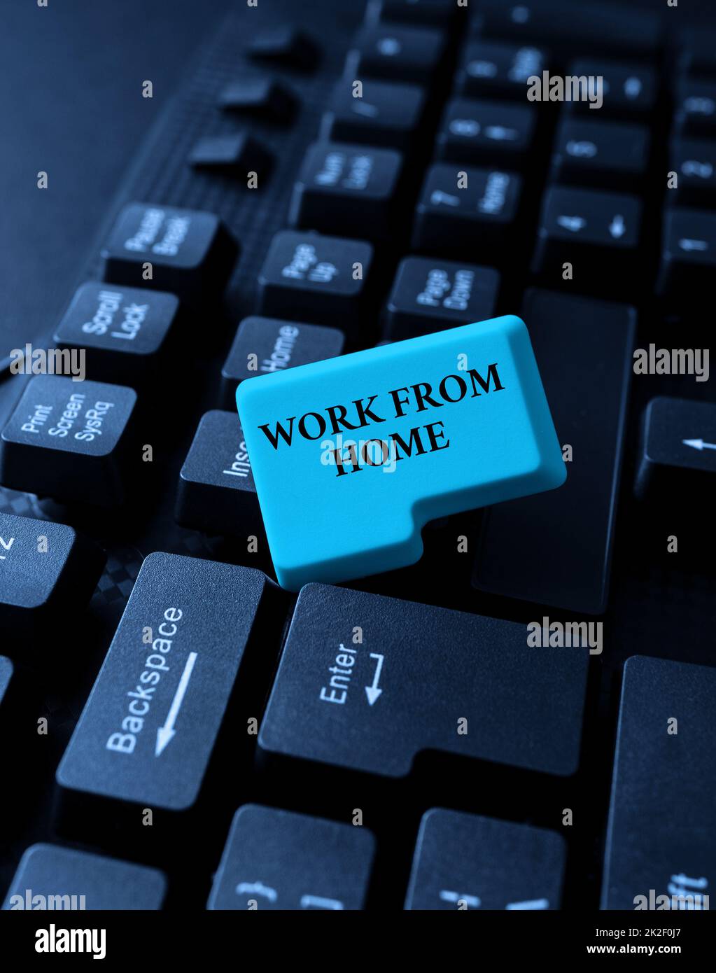 Sign displaying Work From Home. Business concept Work From Home ...