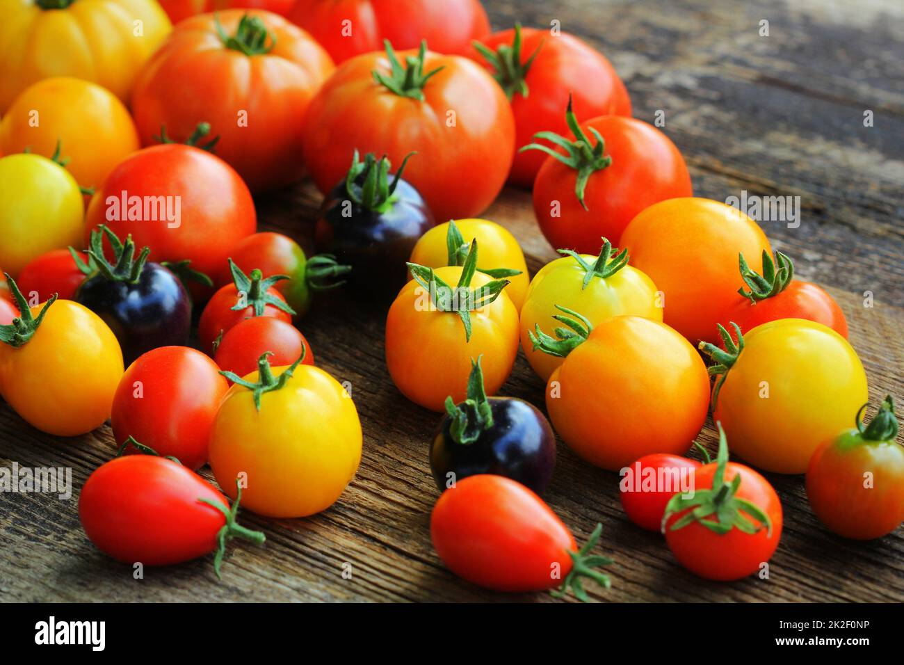 Heirloom variety tomatoes on rustic table. Colorful tomato - red,yellow , black, orange. Harvest ...