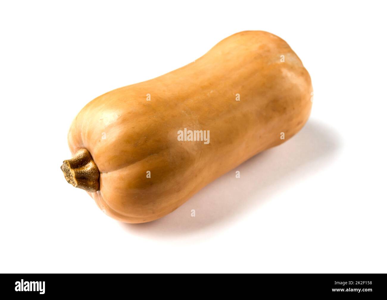 Butternut squash isolated on white background Stock Photo - Alamy