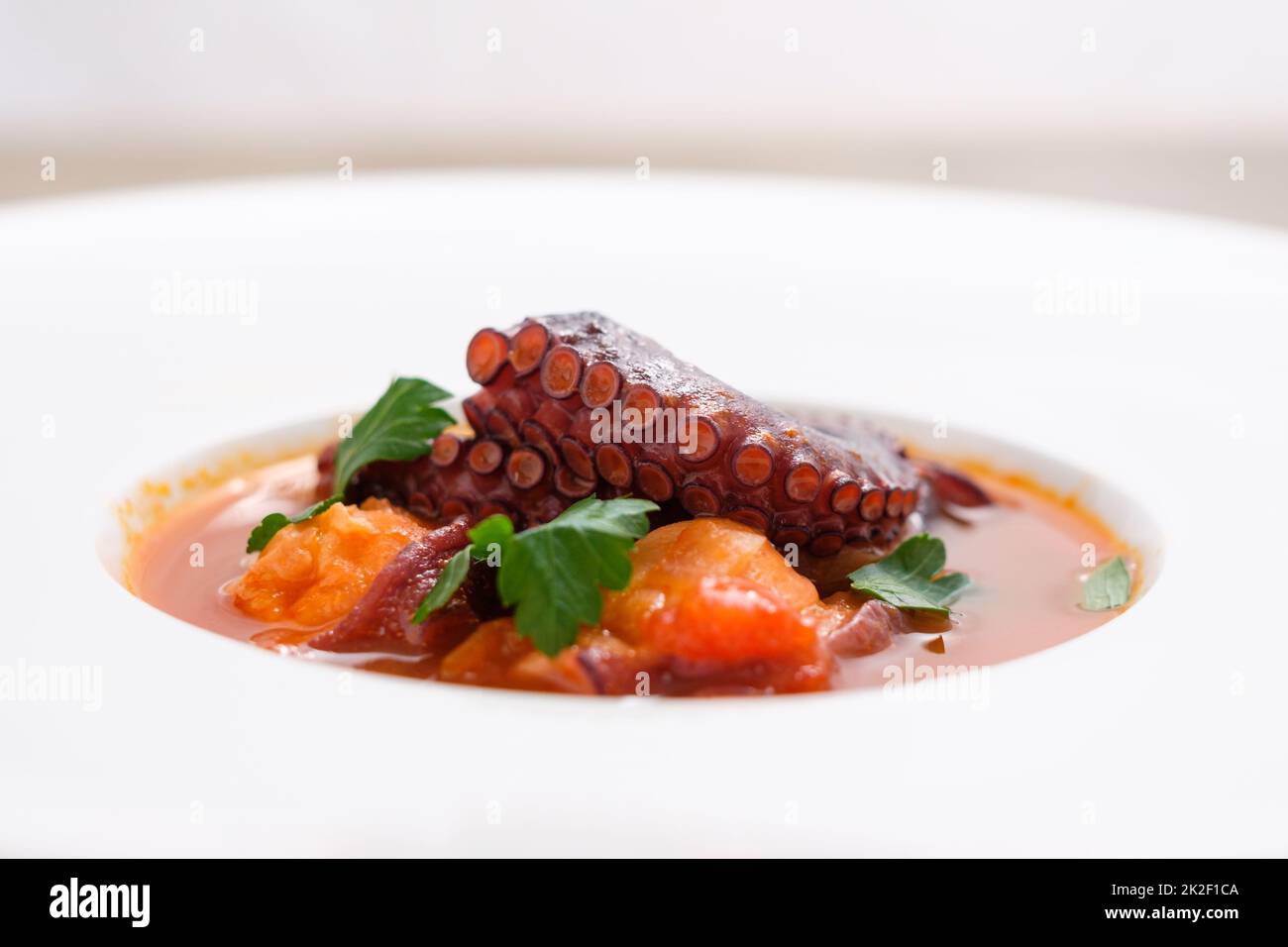 Octopus with tomato and parsley dish Stock Photo - Alamy