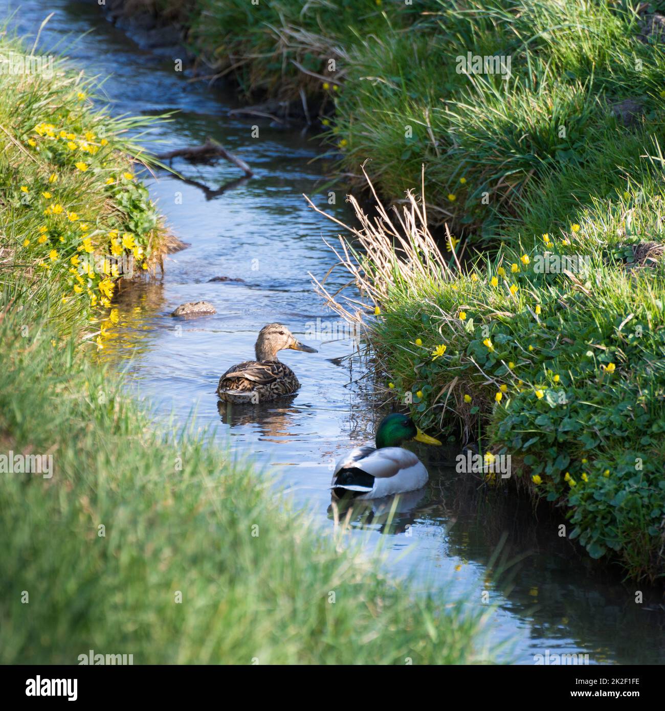 Small pontoon on a river hi-res stock photography and images - Alamy