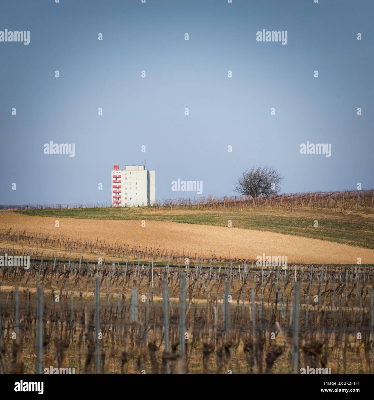 residential building of a city with vineyards in front Stock Photo - Alamy
