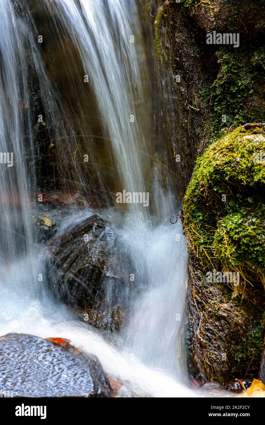 Small stream and waterfall at forest Stock Photo - Alamy
