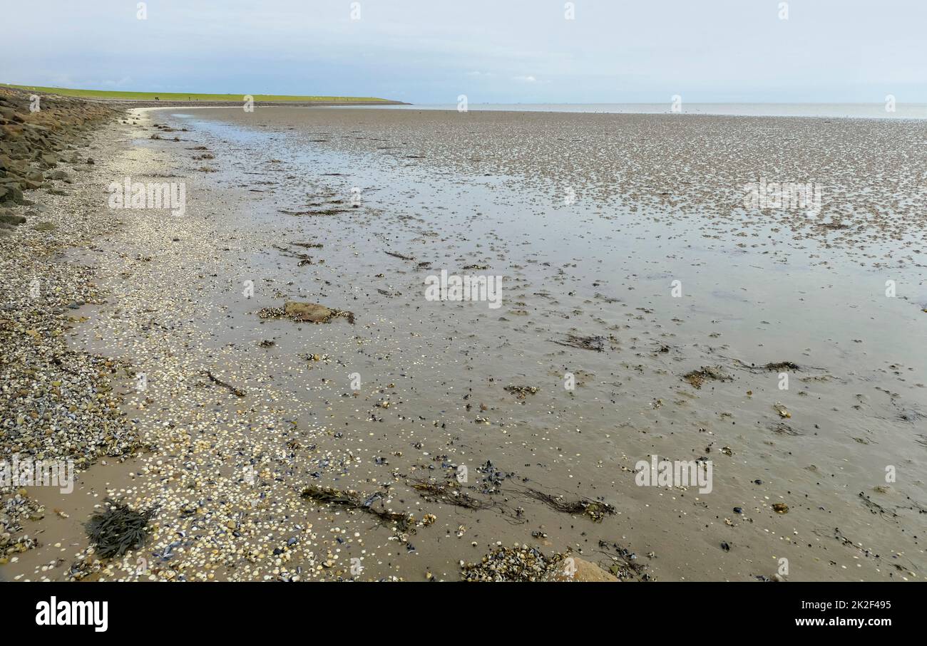 Pellworm at North Frisia Stock Photo - Alamy