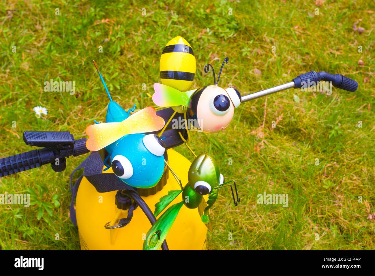 Group flying insects on green hi-res stock photography and images - Alamy