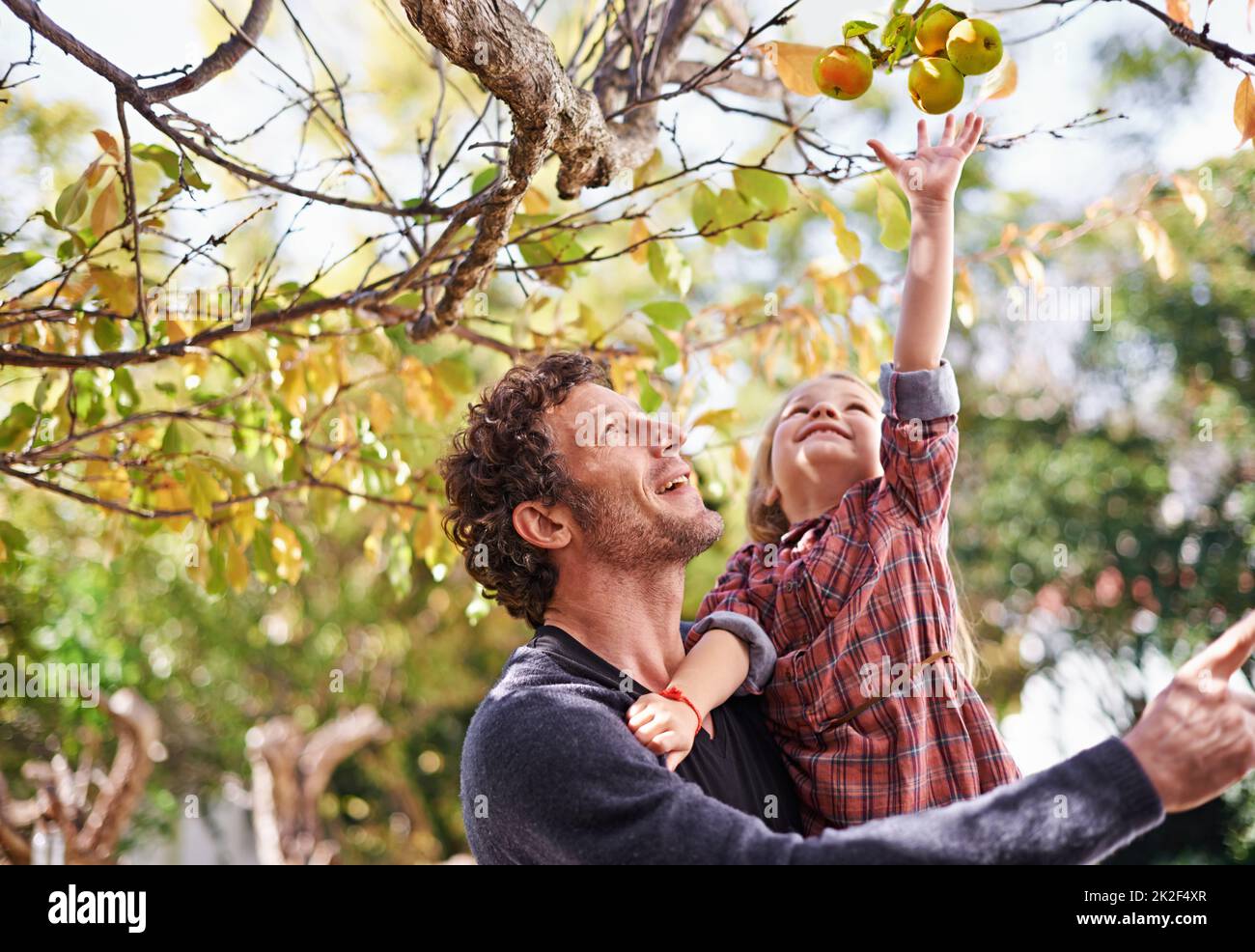 Signs of autumn hi-res stock photography and images - Alamy