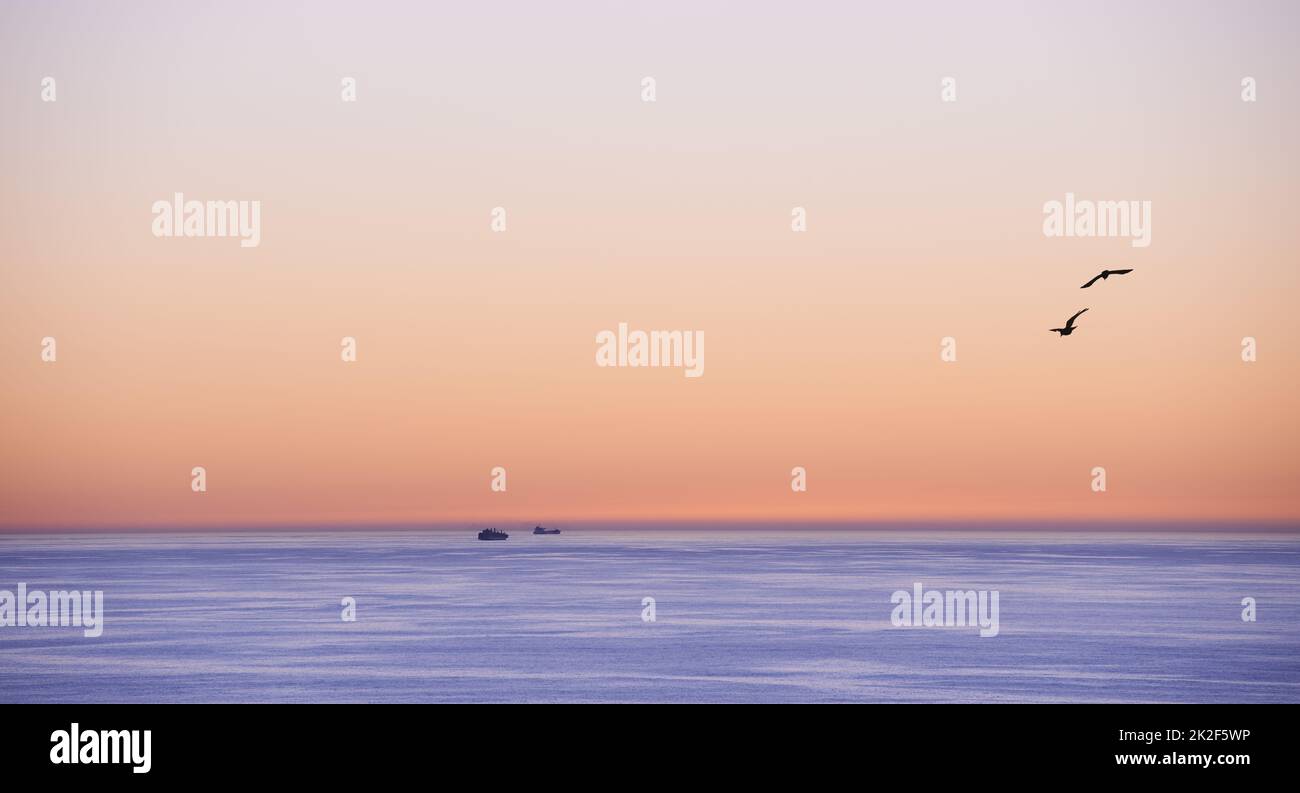 Sunrise over a calm ocean. Seagulls flying over a calm ocean during ...