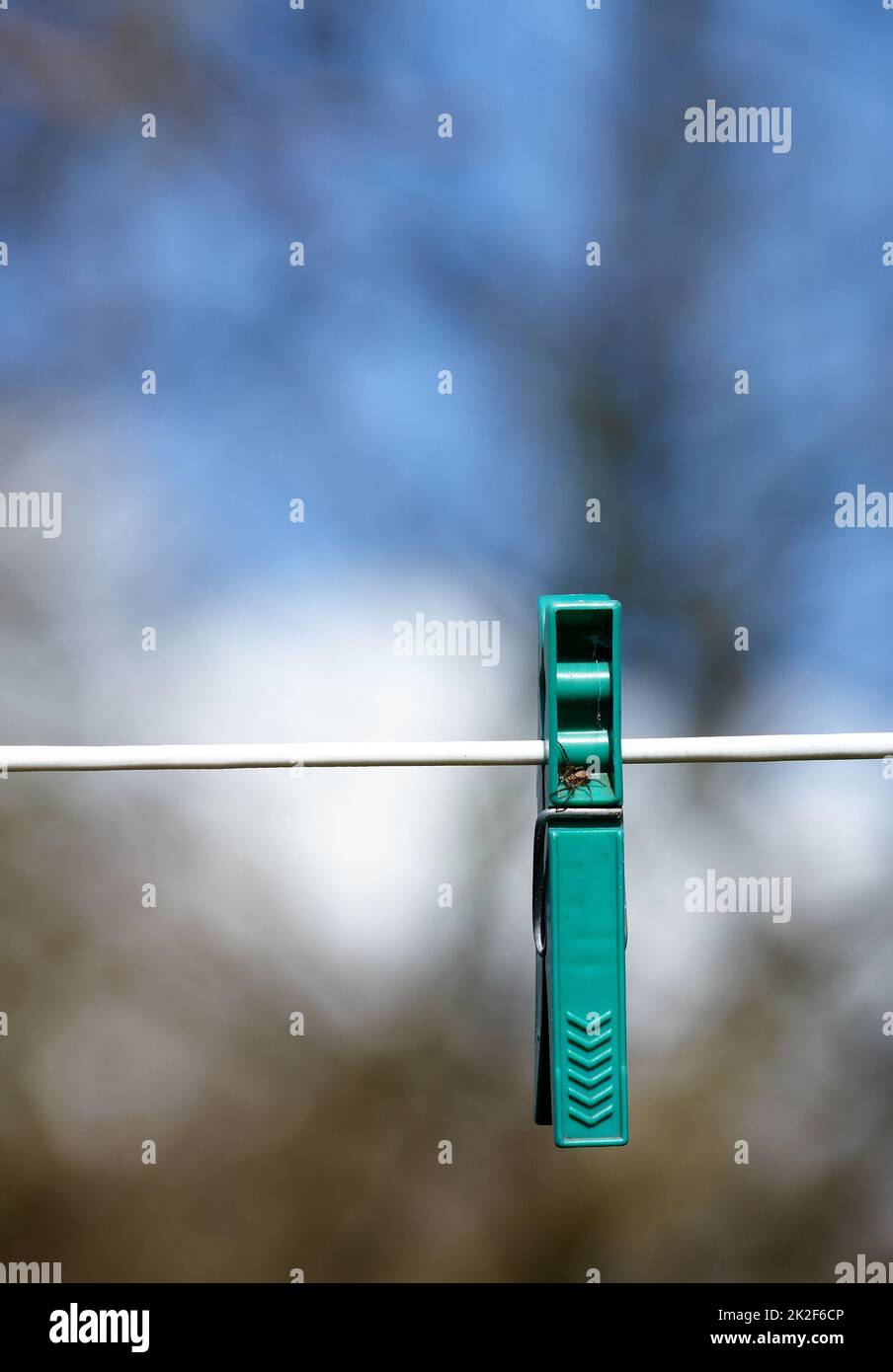 Clothes peg on the line. Macro shot of a single peg attached to a ...