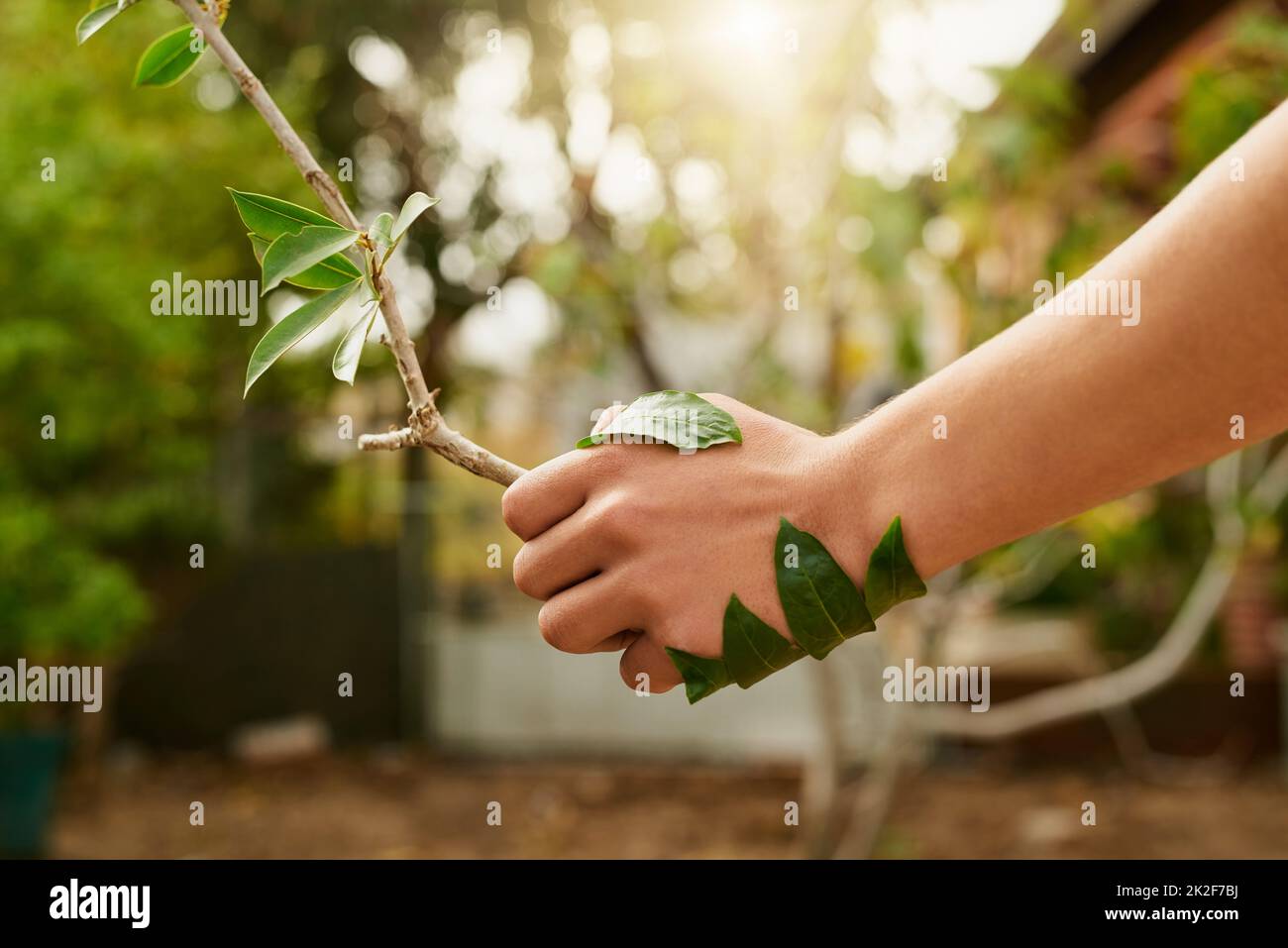 In partnership with nature. Cropped shot of an unidentifiable young man ...