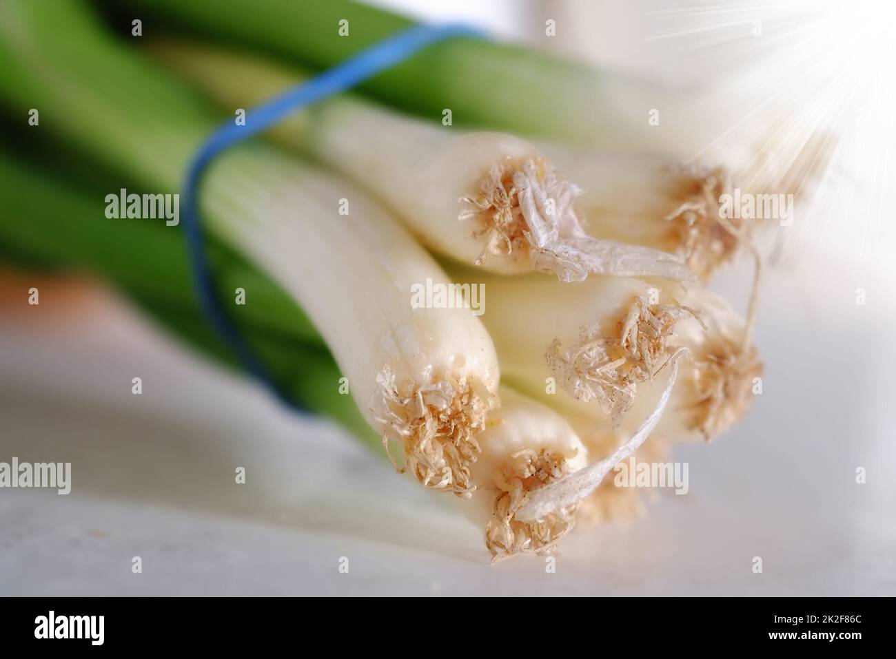 Bundle of freshness. Cropped view of spring onions tied together Stock ...