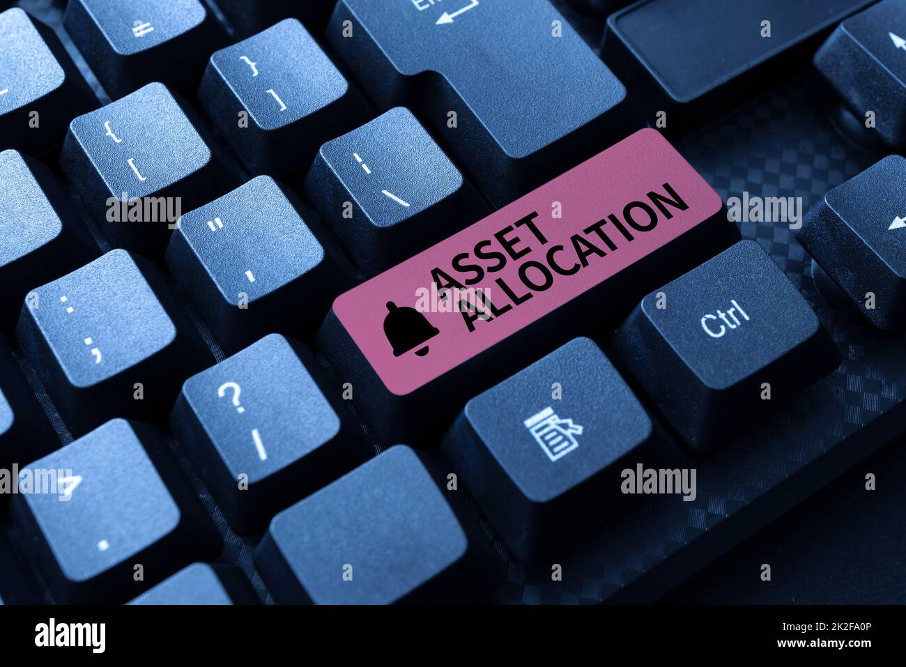 Text caption presenting Asset Allocation. Business showcase proportion ...