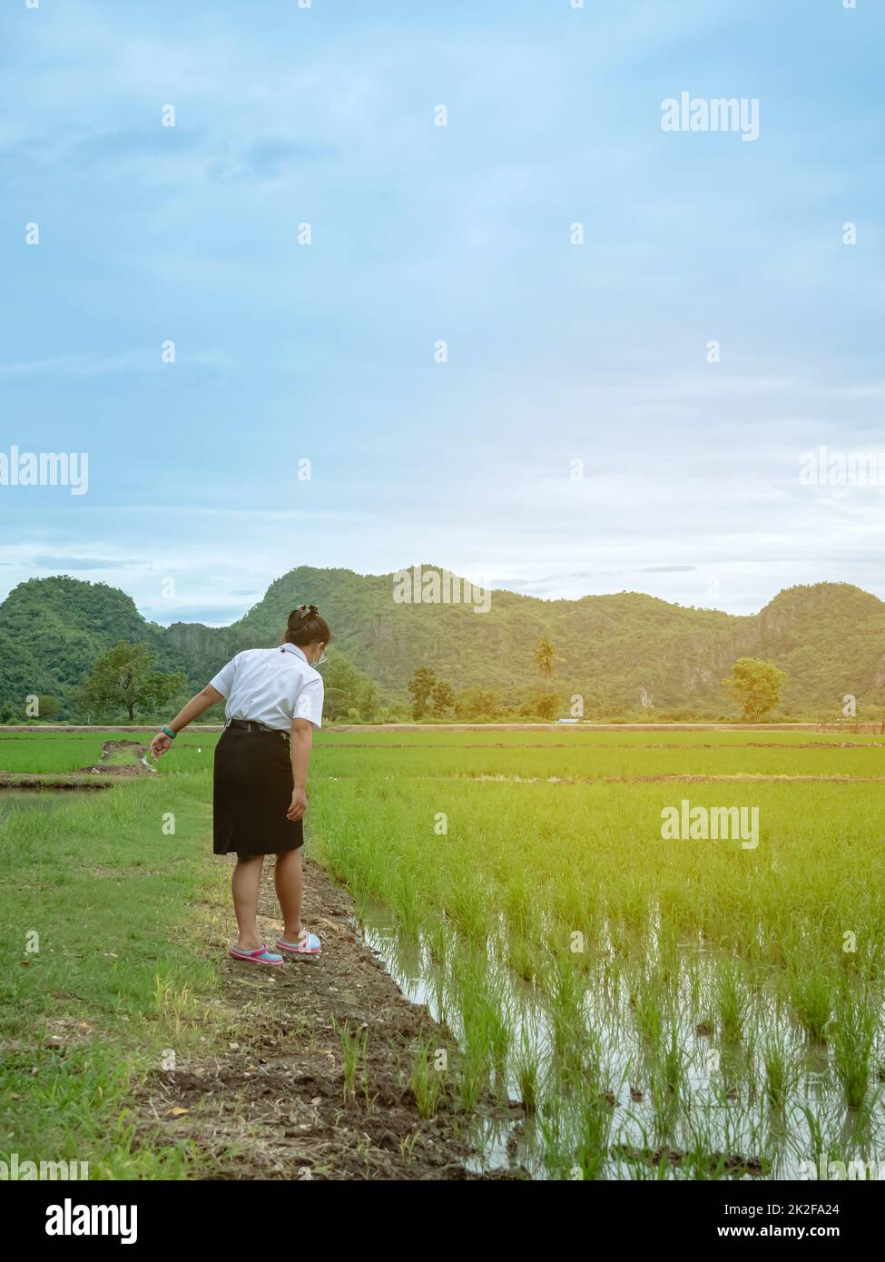 Young female agricultural student wear face mask in uniform study and ...