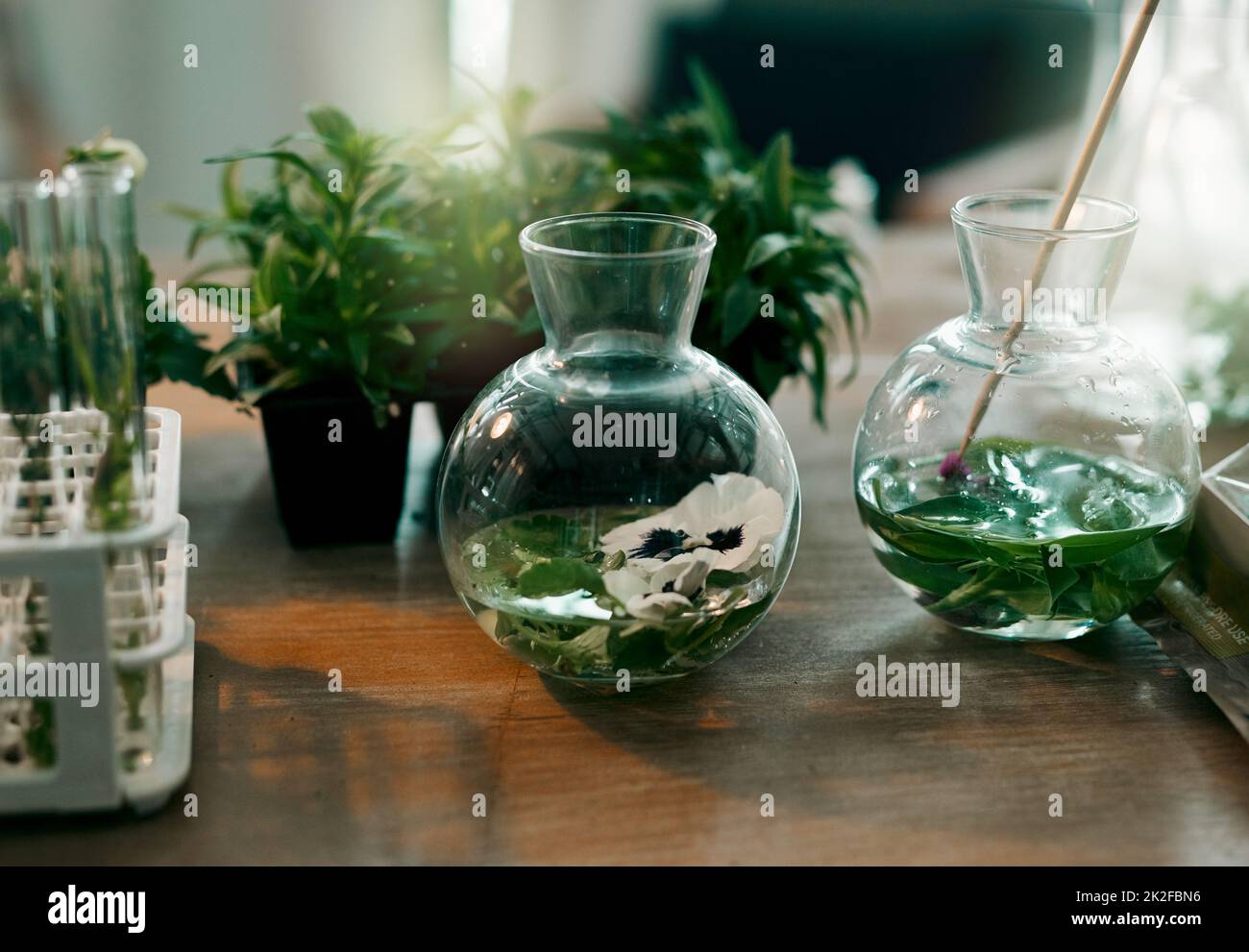 Exclusive glass jars hi-res stock photography and images - Alamy