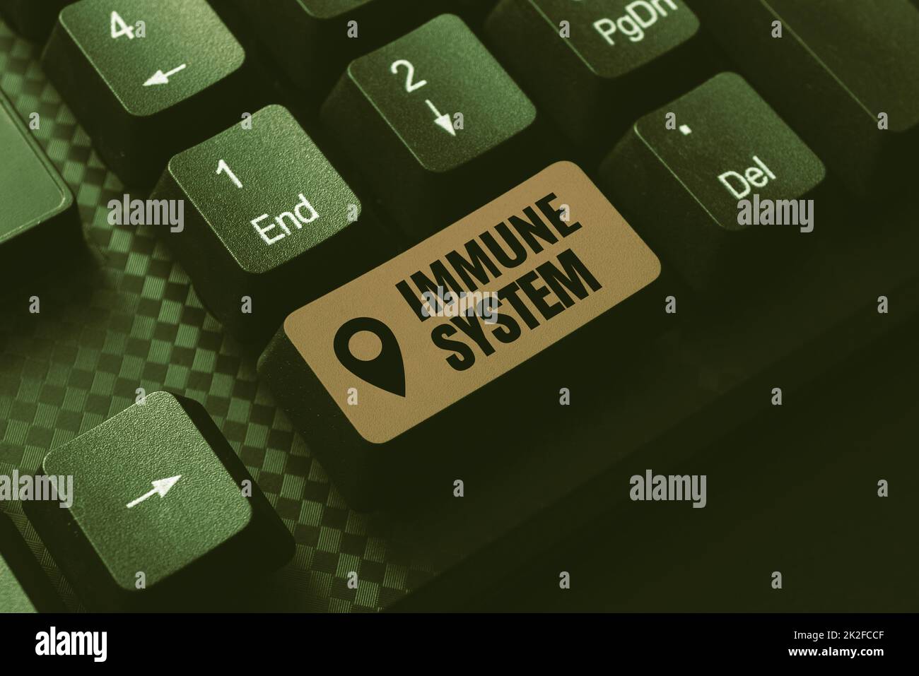 Writing displaying text Immune System. Business idea Complex network ... Writing displaying text Immune System. Business idea Complex network ...