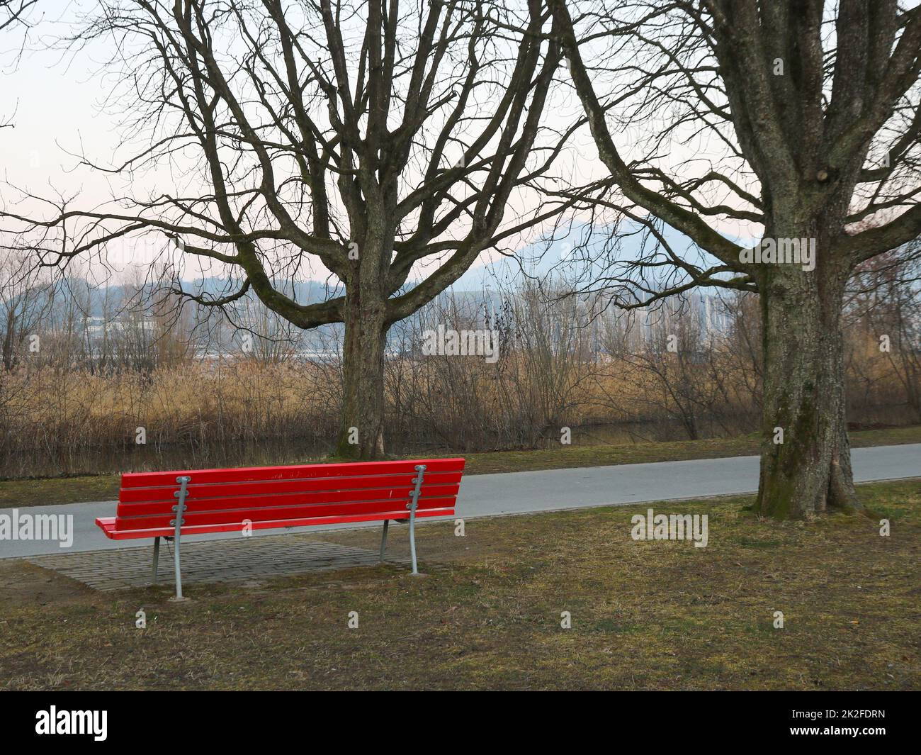 Red bench and tree in a park at the shore of Lake Lucerne Stock Photo ...