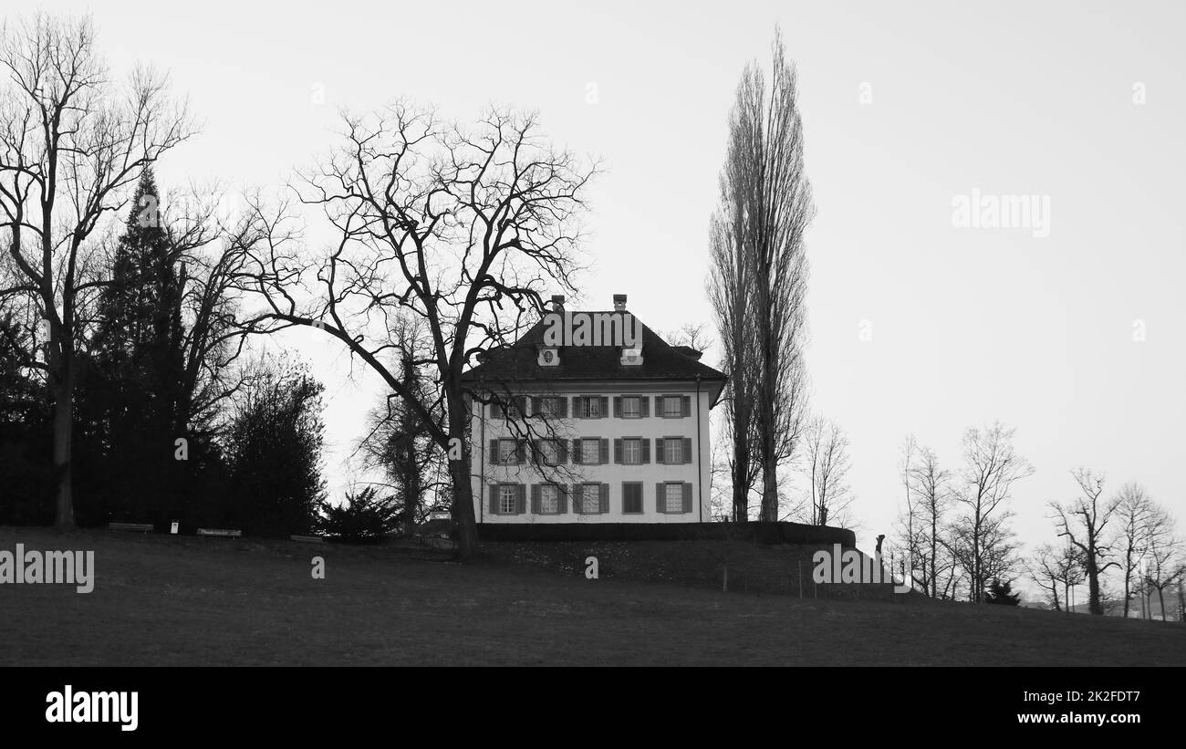 Richard Wagner Museum and trees, Lucerne Stock Photo - Alamy
