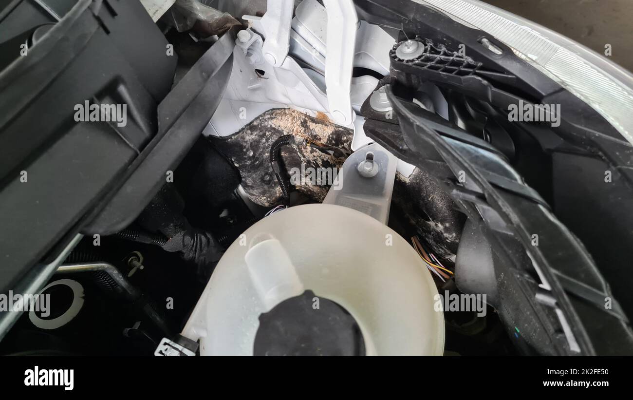 Mold in the engine compartment of an RV Stock Photo - Alamy