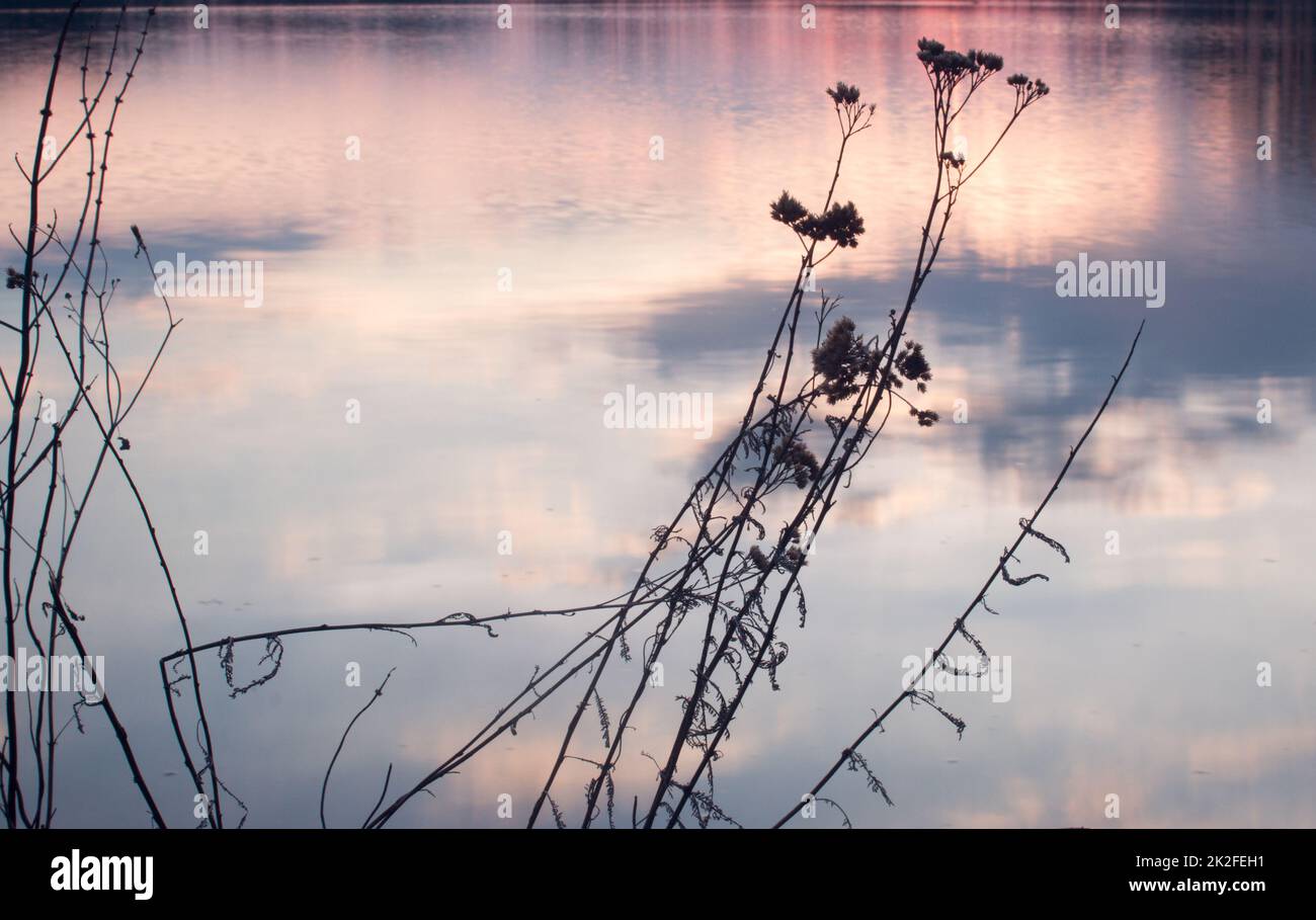 Scrubs water hi-res stock photography and images - Alamy