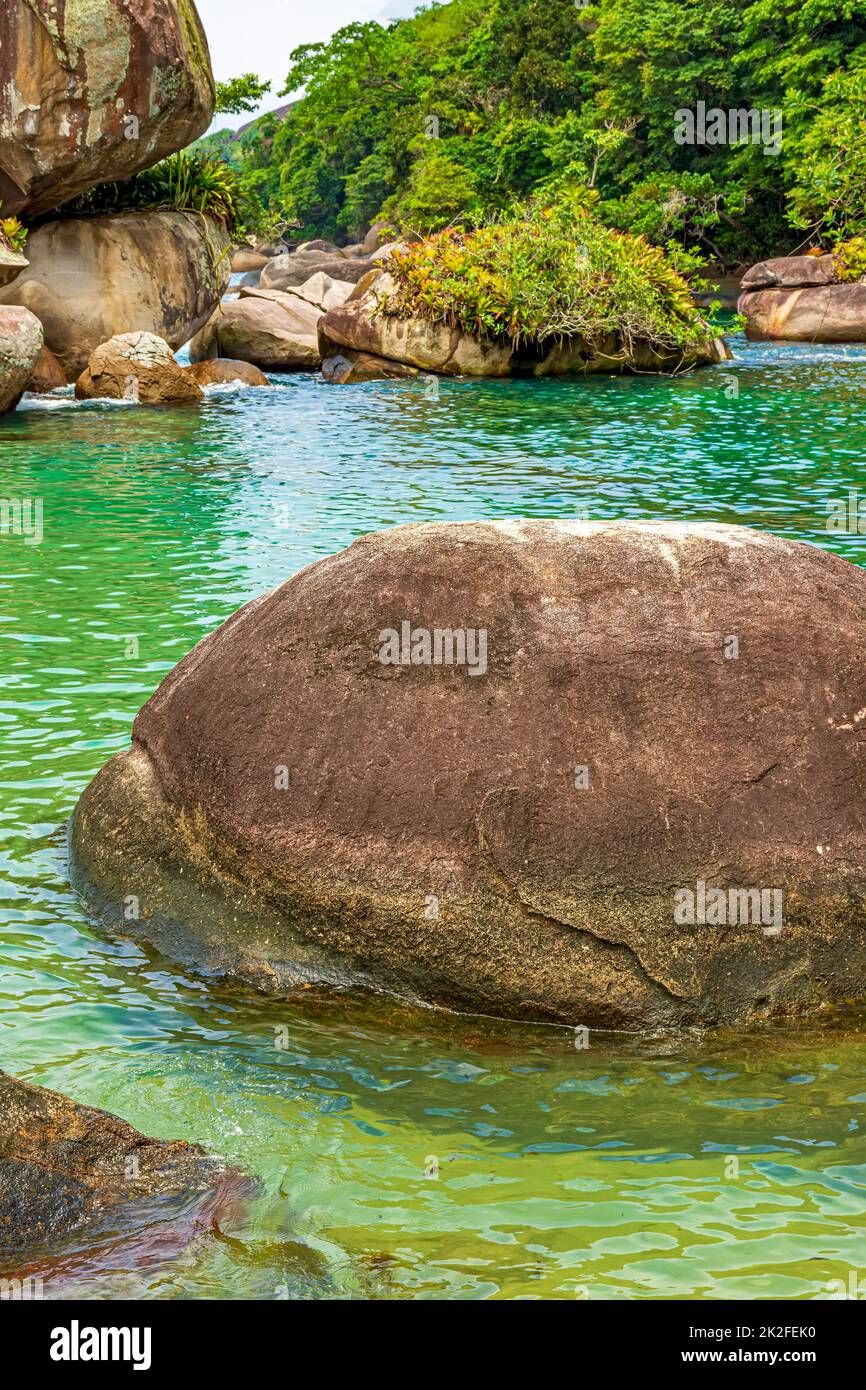 Preserved rainforest invading the sea through the rocks Stock Photo - Alamy