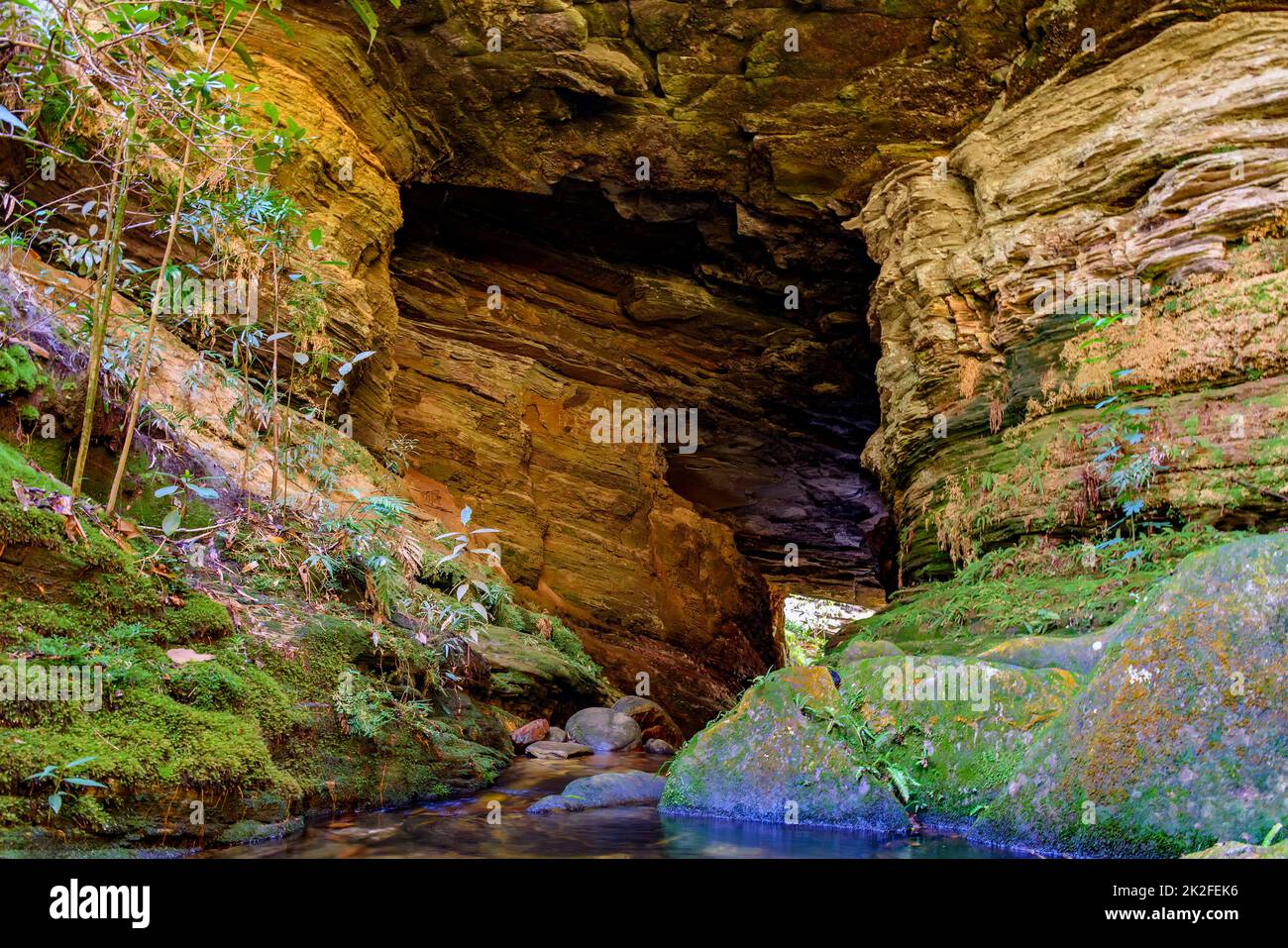 Rainforest cave interior with small river and lake Stock Photo - Alamy