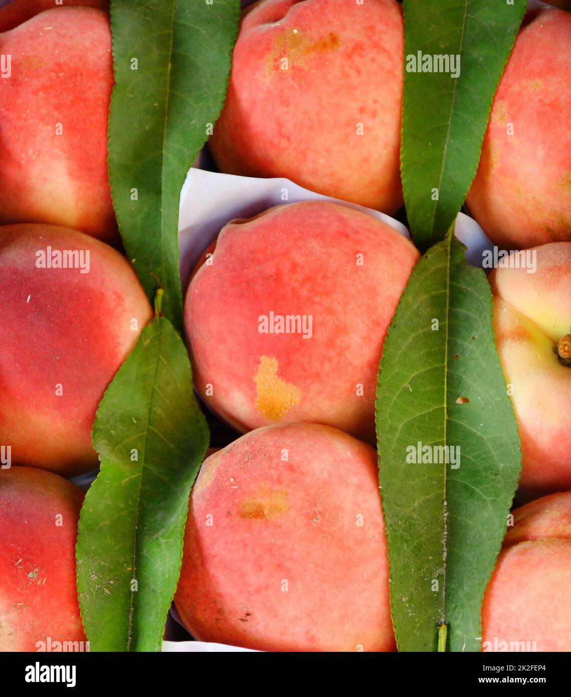 Ripe peaches of the new harvest Stock Photo - Alamy