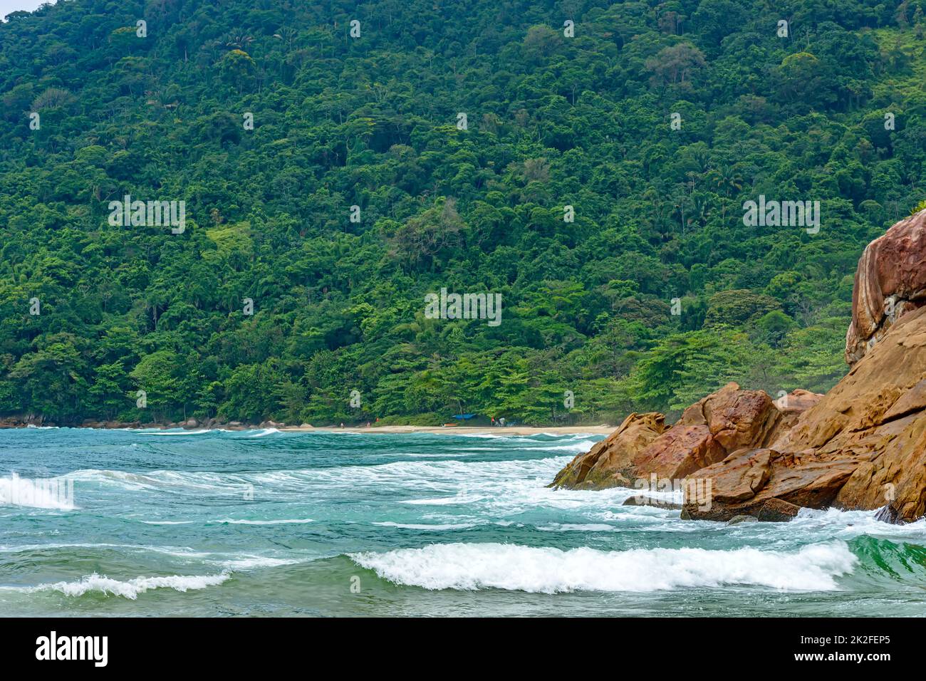 The encounter between the beach, preserved tropical forest and the sea ...