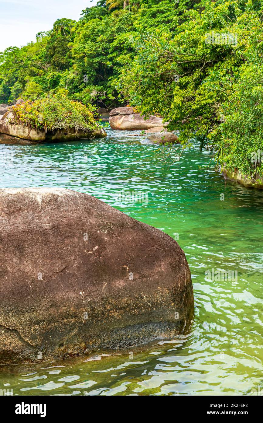 The rainforest invading the sea with calm waters and vibrant colors ...