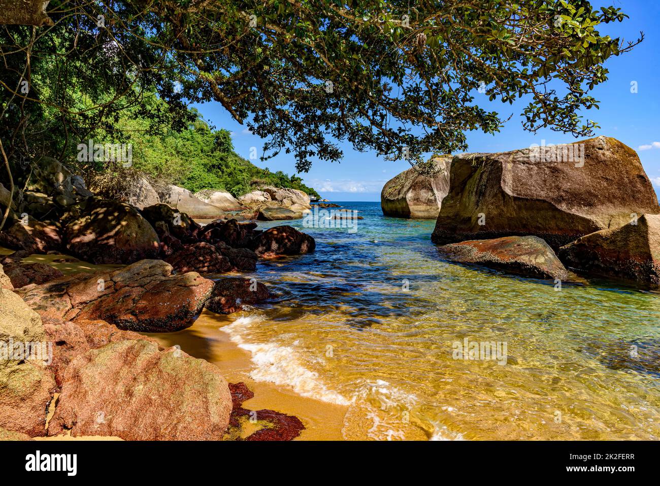 Untouched beach surrounded by rainforest on Ilha Grande Stock Photo - Alamy