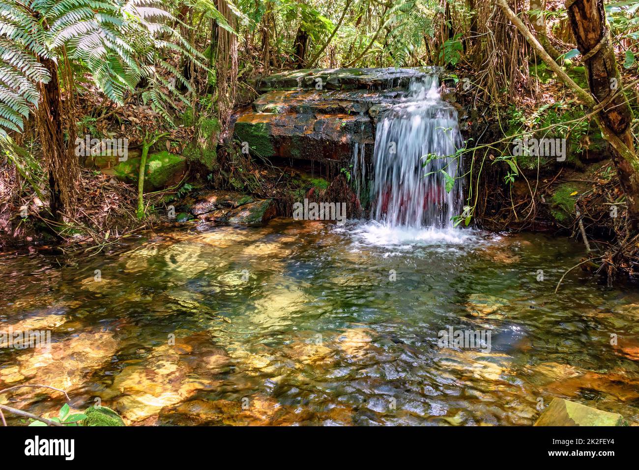Small lake, cascade and river with clear water in forest Stock Photo ...