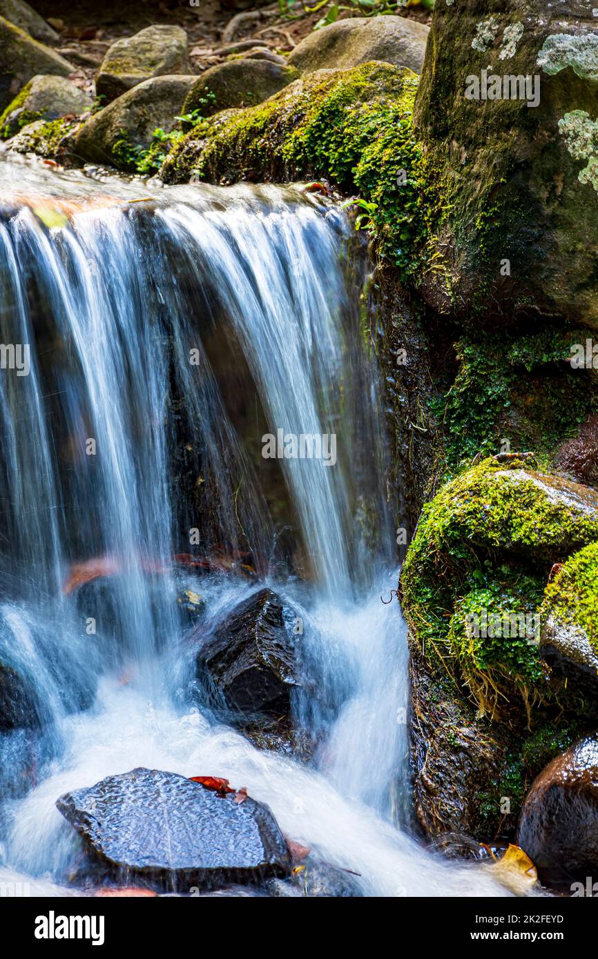 Small stream and waterfall at jungle Stock Photo - Alamy