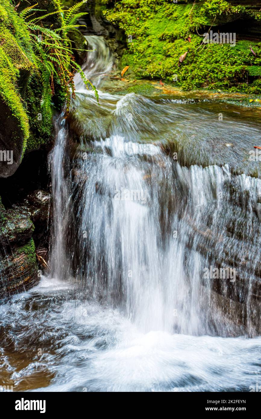Small waterfall running through the mossy rocks inside the rainforest ...