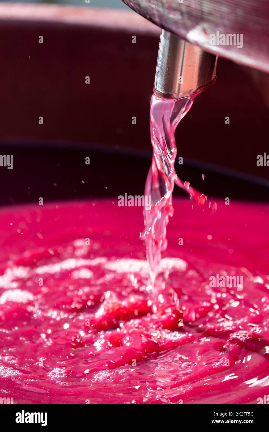 Wine making process hi-res stock photography and images - Alamy