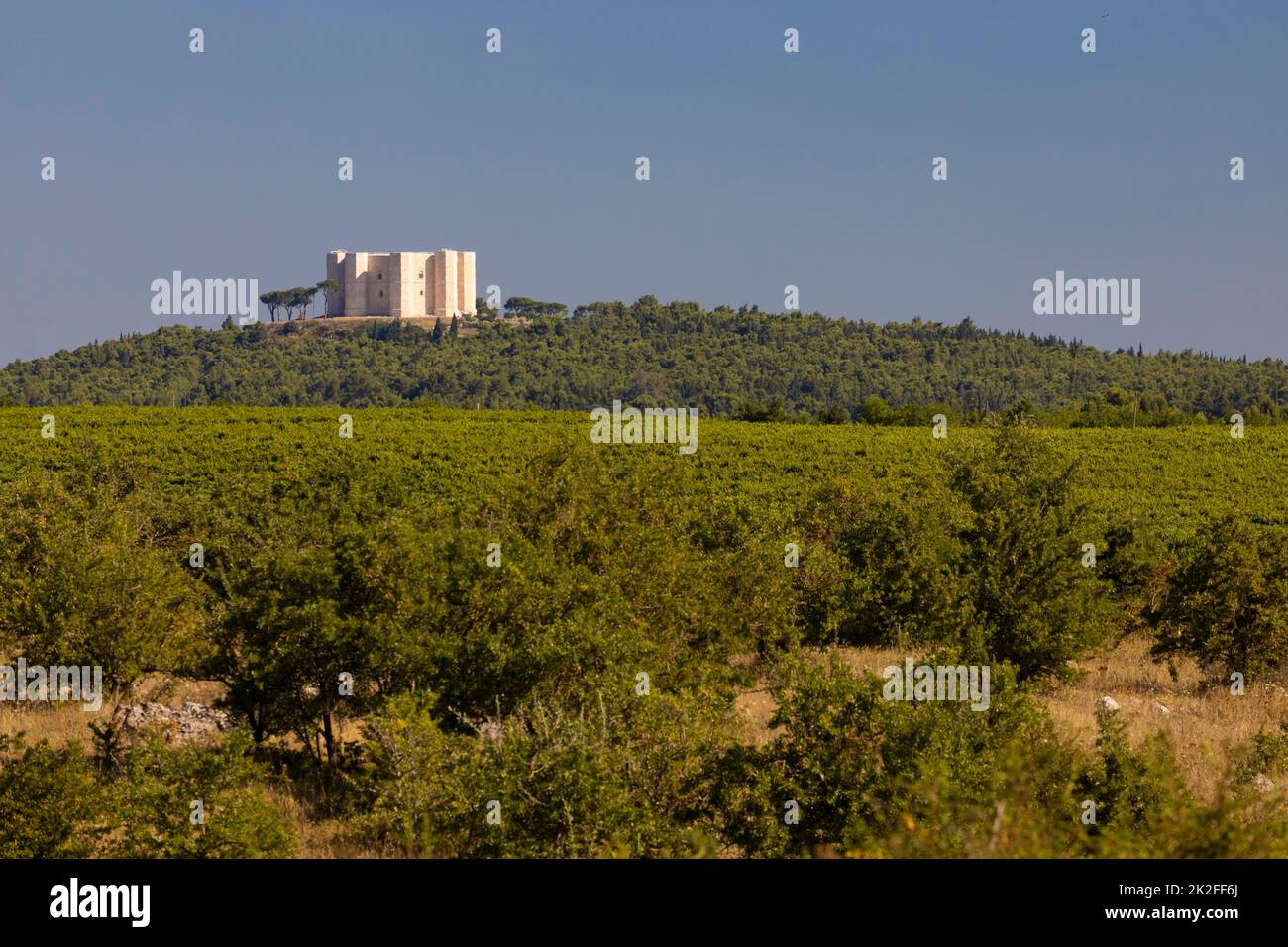 Castel del Monte, castle built in an octagonal shape by the Holy Roman ...