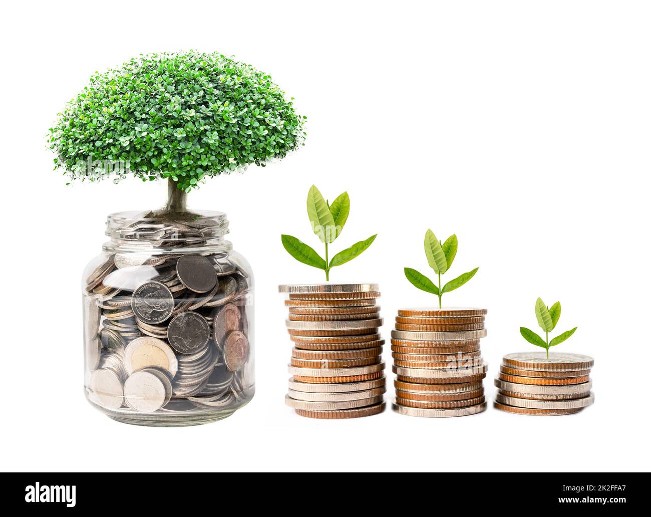Tree plumule leaf on save money coins, Business finance saving banking ...