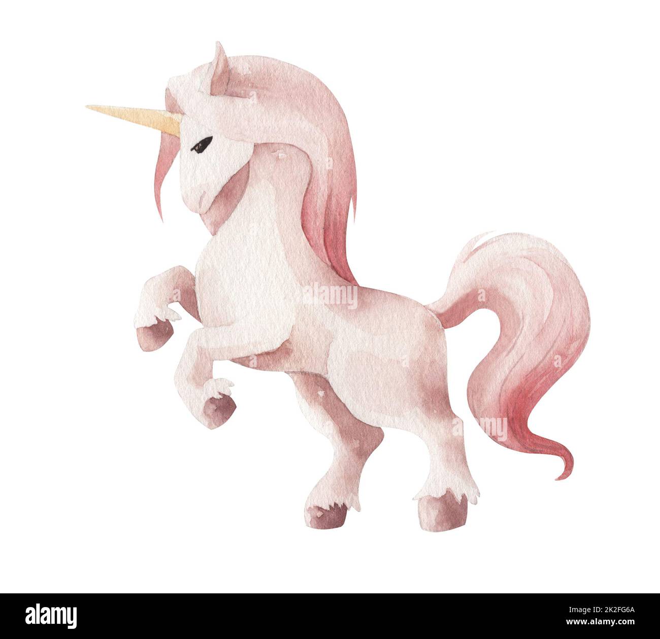 Watercolor cute unicorn isoalted. Hand drawn illustartion Stock Photo ...