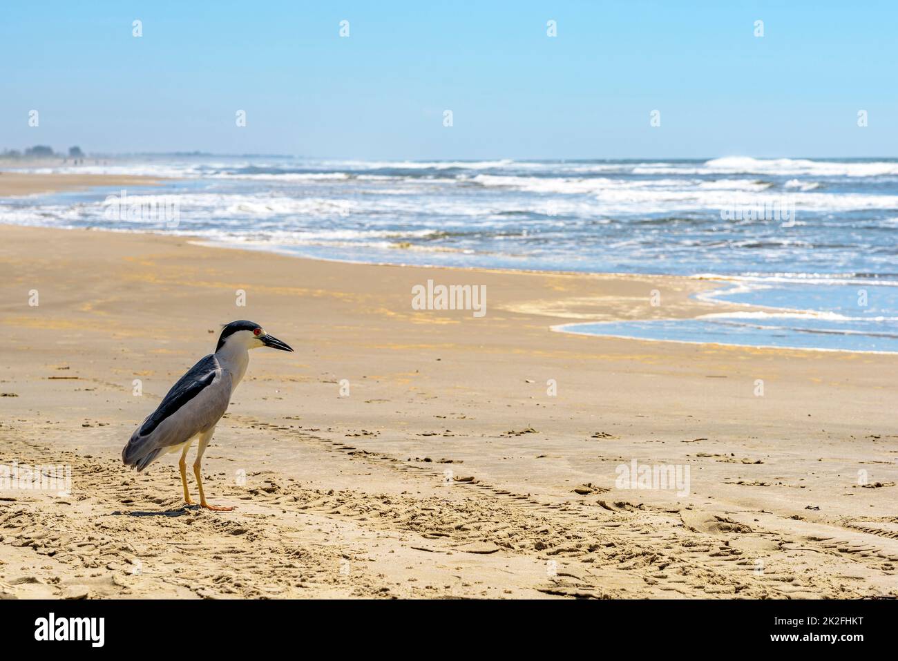 Sand perch hi-res stock photography and images - Alamy