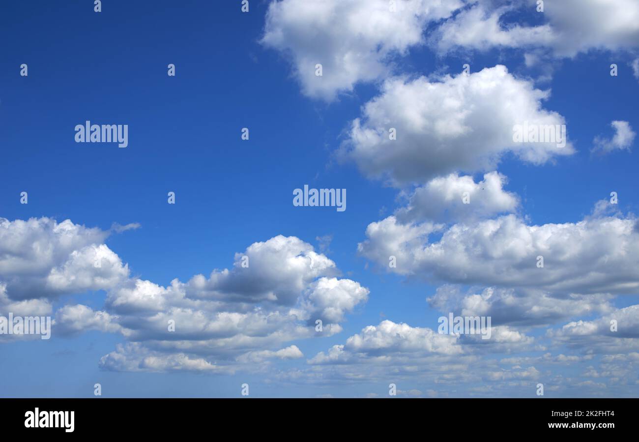 Mind wander hi-res stock photography and images - Alamy