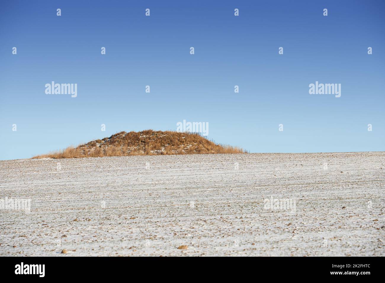 Dry desolation. A grassy mound in the middle of a dry landscape Stock ...