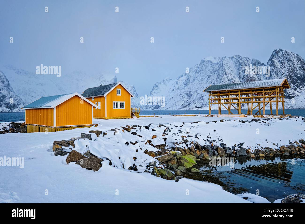 Rorbu house and drying flakes for stockfish cod fish in winter. Lofoten ...