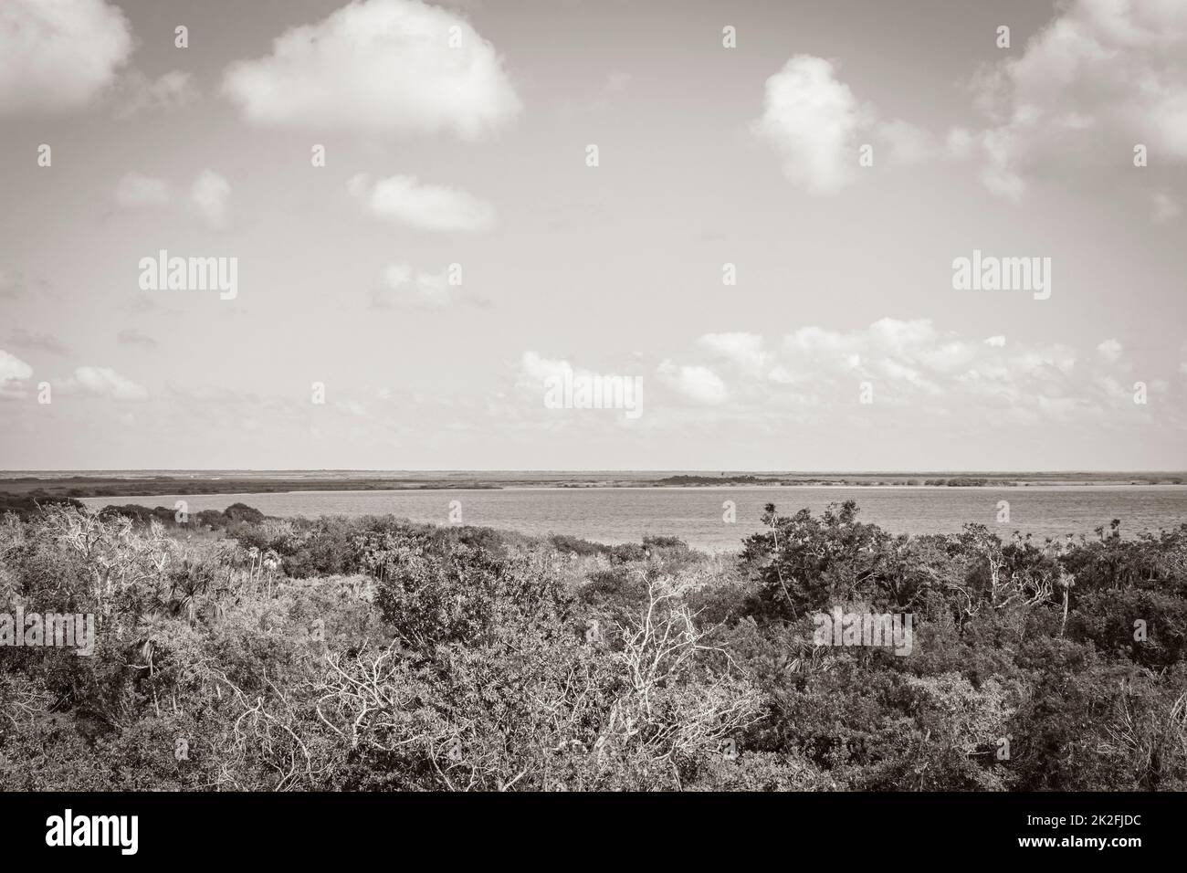 Muyil Lagoon panorama view in tropical jungle of amazing Mexico Stock ...