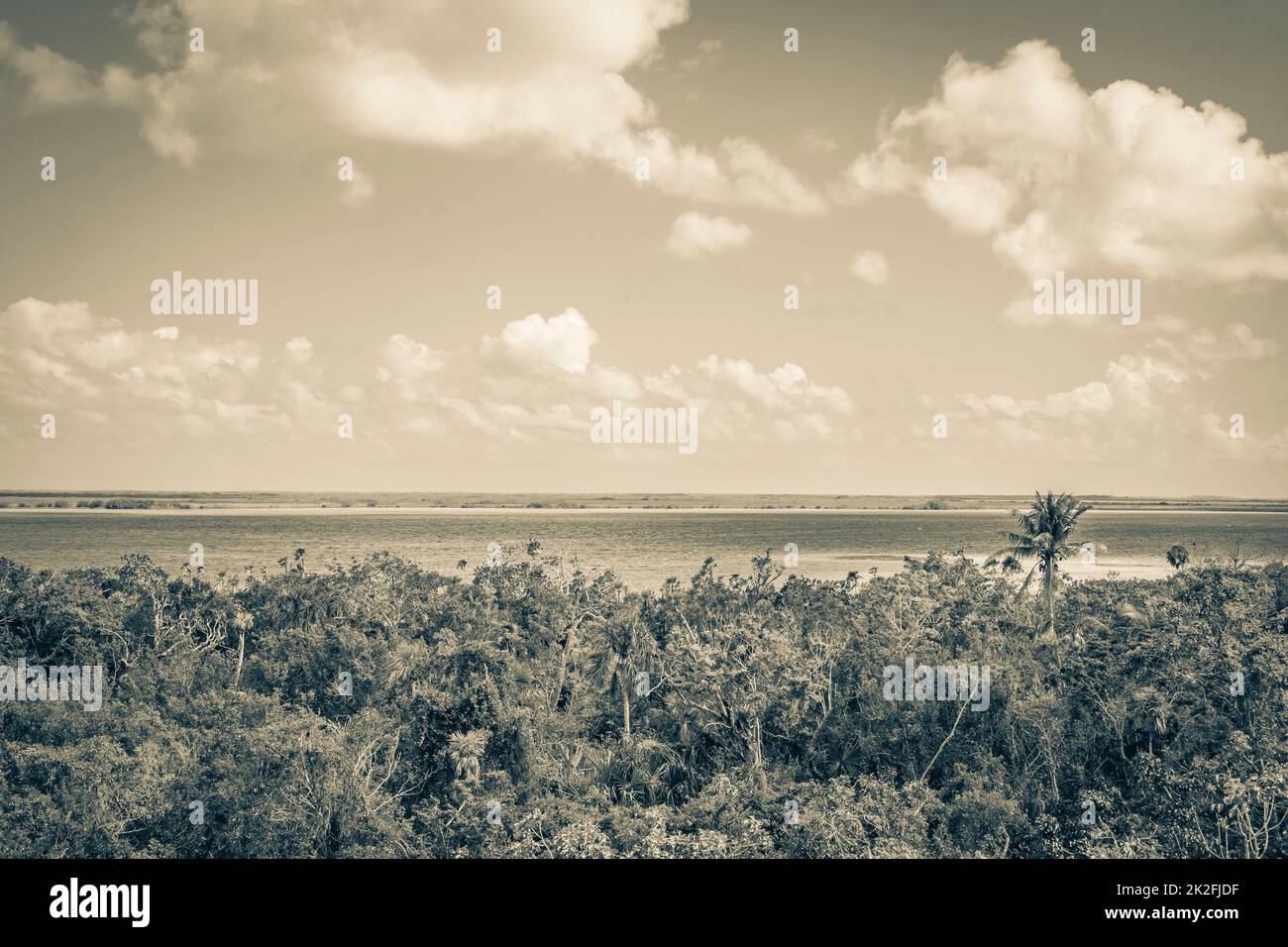 Muyil Lagoon panorama view in tropical jungle of amazing Mexico Stock ...